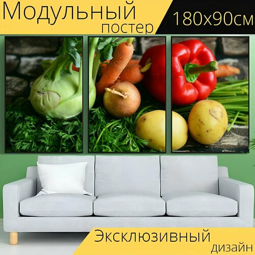 Модульный постер "Овощи, красочные овощи, перемешанные овощи" 180 x 90 см. для интерьера