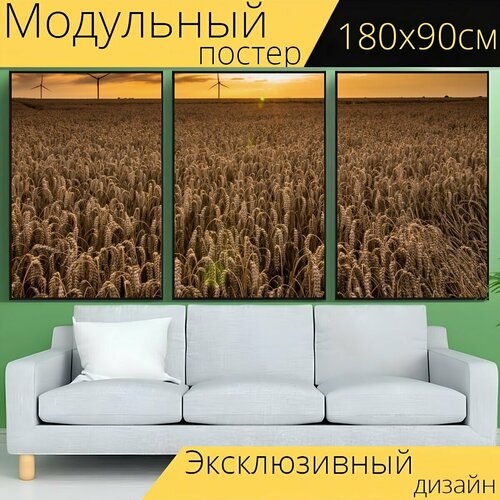 Модульный постер "Пшеничное поле, сельское хозяйство, зерно" 180 x 90 см. для интерьера