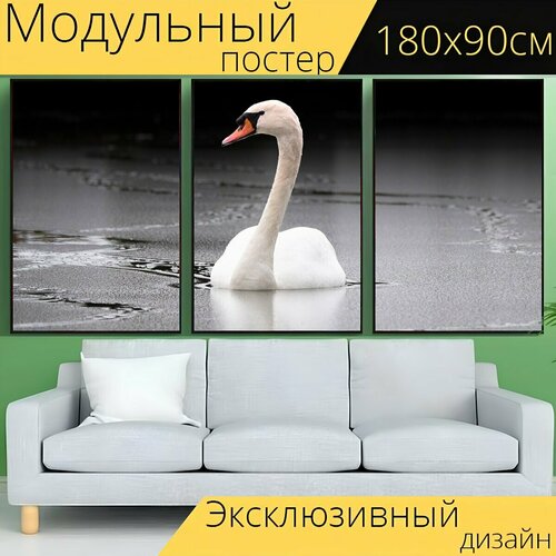 Модульный постер "Лебедь, утка, птица" 180 x 90 см. для интерьера