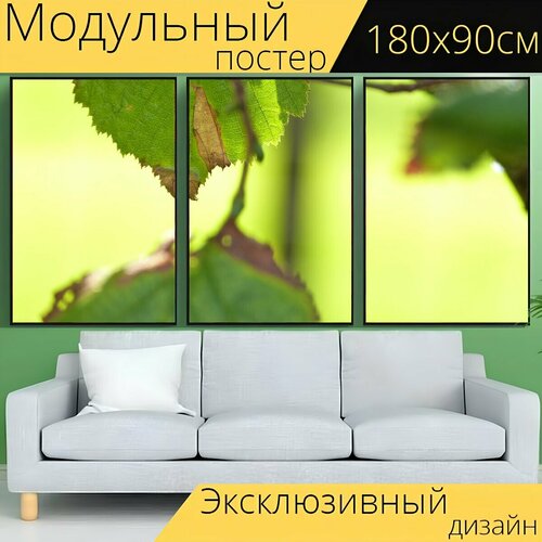 Модульный постер "Природа, листья, зеленый" 180 x 90 см. для интерьера