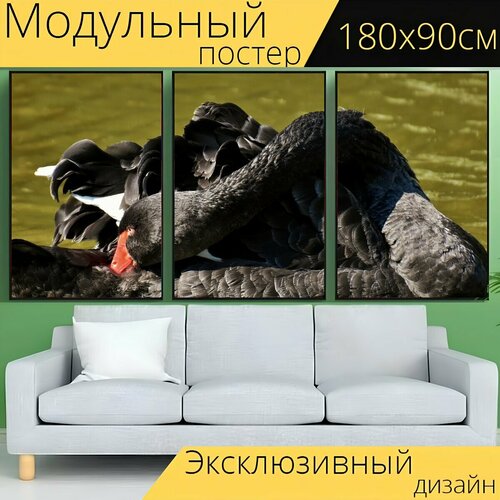 Модульный постер "Лебедь, чернить, водоплавающая птица" 180 x 90 см. для интерьера