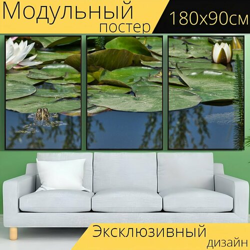 Модульный постер "Лягушки, пруд, водяная лилия" 180 x 90 см. для интерьера