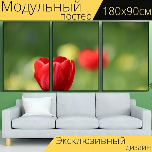 Модульный постер "Тюльпаны, луковичные растения, цветы" 180 x 90 см. для интерьера