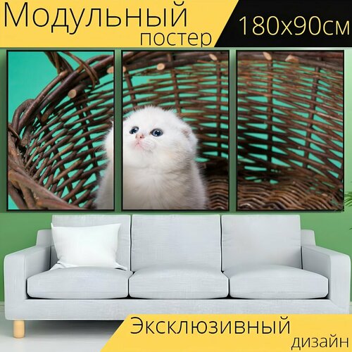 Модульный постер "Кот, котенок, щенок" 180 x 90 см. для интерьера