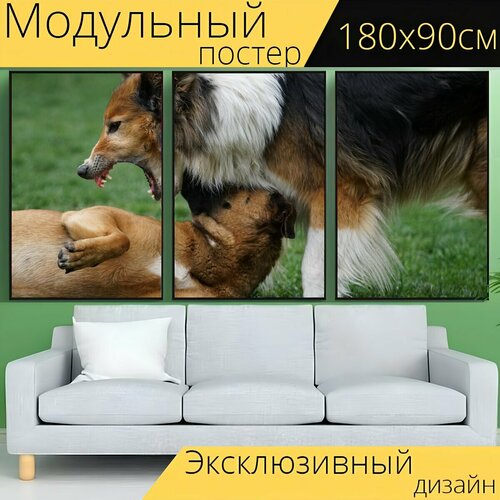 Модульный постер "Собаки, игра, животные" 180 x 90 см. для интерьера