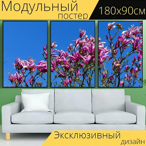 Модульный постер "Магнолия, цветы, весна" 180 x 90 см. для интерьера