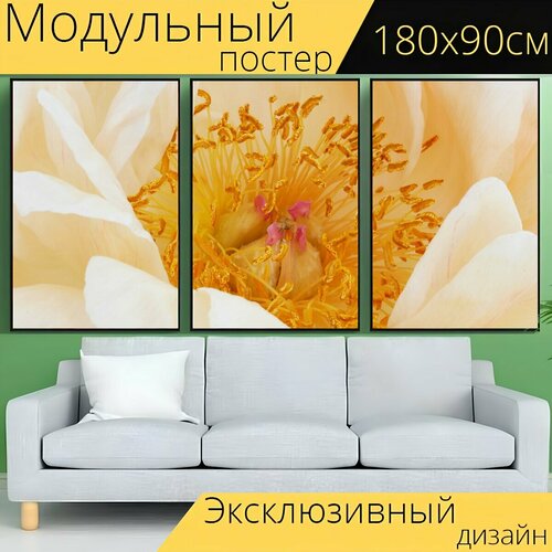 Модульный постер "Пион, цветок, золото" 180 x 90 см. для интерьера