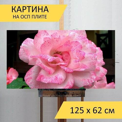 Картина на ОСП 125х62 см. "Роуз, цветок, розовый" горизонтальная, для интерьера, с креплениями