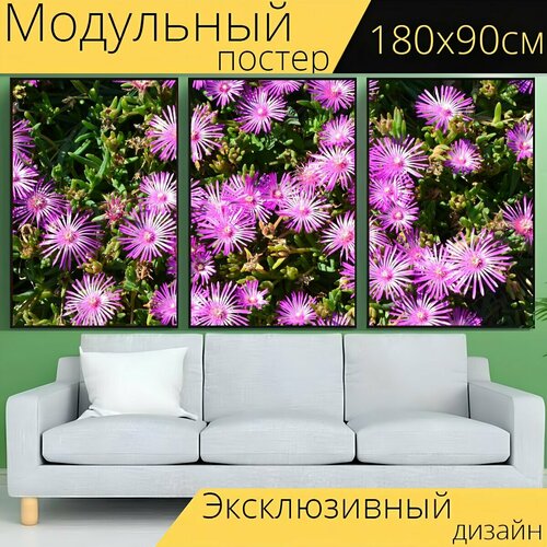 Модульный постер "Астры, цветы, фиолетовые цветы" 180 x 90 см. для интерьера
