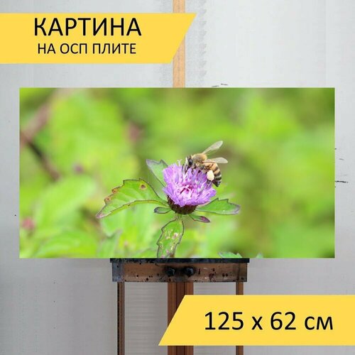 Картина на ОСП 125х62 см. "Пчела, насекомое, цветок" горизонтальная, для интерьера, с креплениями