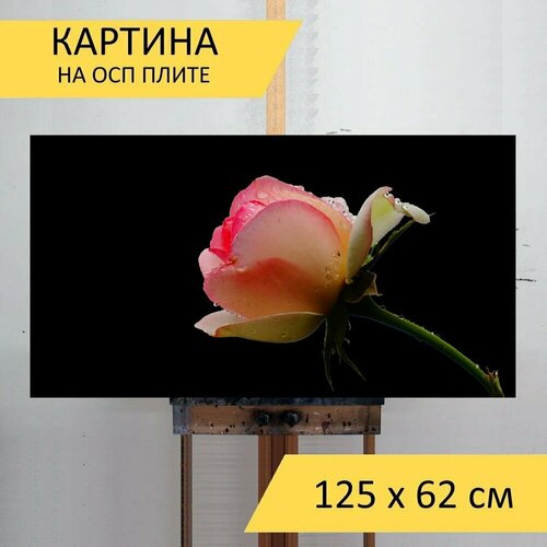Картина на ОСП 125х62 см. "Розовый, розы, цветы" горизонтальная, для интерьера, с креплениями