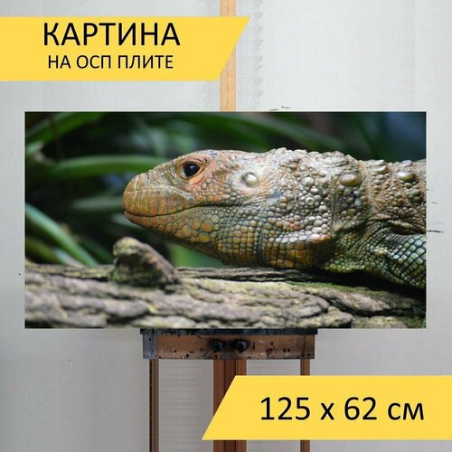 Картина на ОСП 125х62 см. "Хамелеон, ящерица, рептилия" горизонтальная, для интерьера, с креплениями