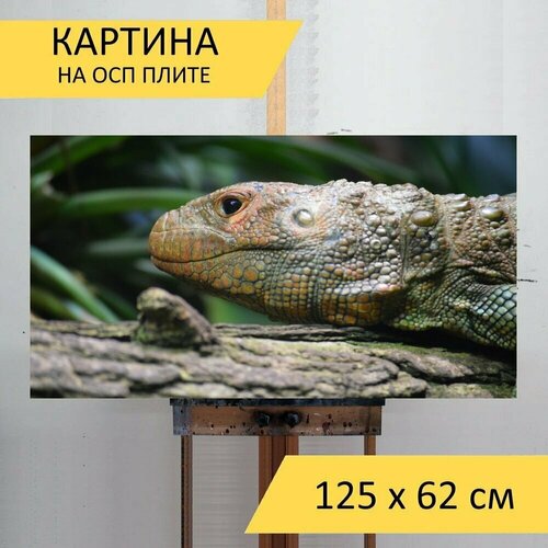 Картина на ОСП 125х62 см. "Хамелеон, ящерица, рептилия" горизонтальная, для интерьера, с креплениями