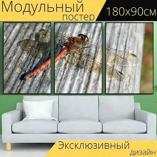 Модульный постер "Стрекоза, крыло, насекомое" 180 x 90 см. для интерьера