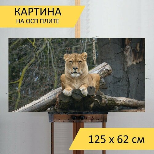 Картина на ОСП 125х62 см. "Львица, лев, животное" горизонтальная, для интерьера, с креплениями