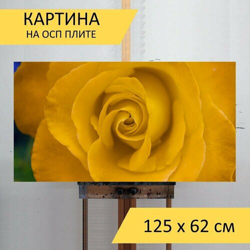 Картина на ОСП 125х62 см. "Цветок, желтый, лепестки" горизонтальная, для интерьера, с креплениями