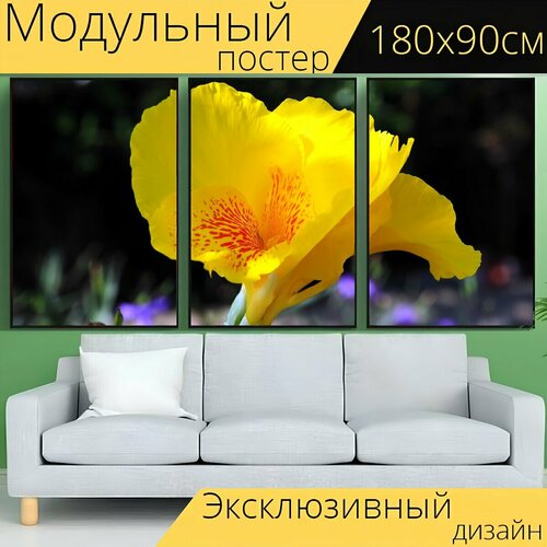 Модульный постер "Желтый цветок, красочный, завод" 180 x 90 см. для интерьера