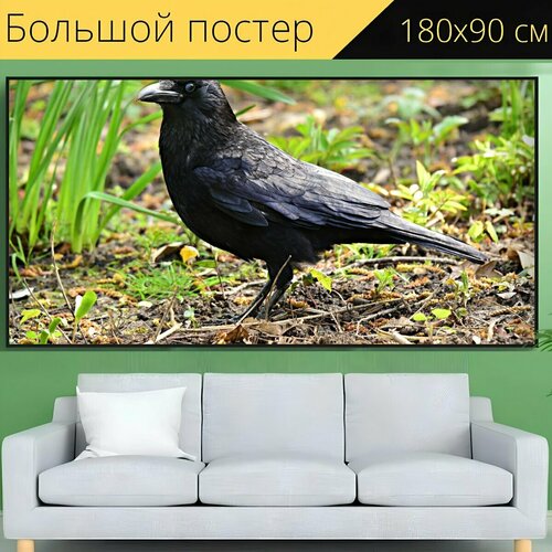 Большой постер "Черный ворон, птица, животное" 180 x 90 см. для интерьера