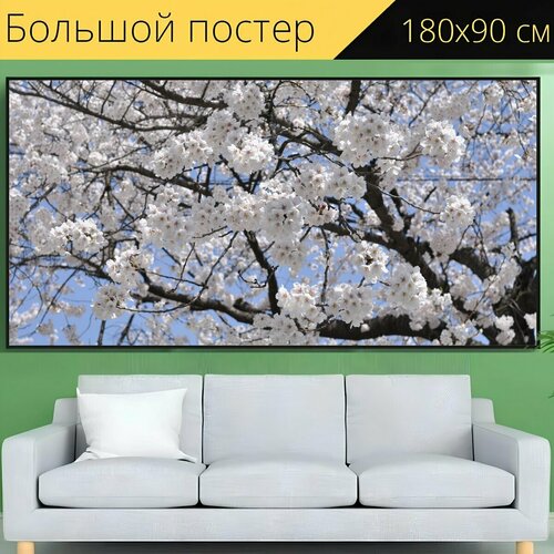 Большой постер "Вишня в цвету, весна, вишни в цвету" 180 x 90 см. для интерьера