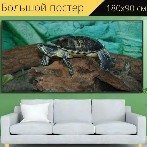 Большой постер "Черепаха, животное, вода" 180 x 90 см. для интерьера