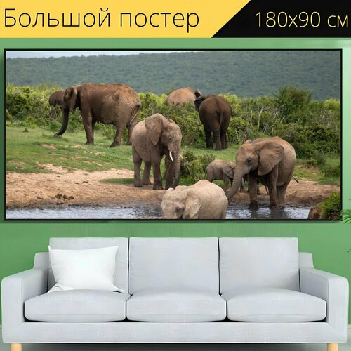 Большой постер "Слоны, купание, дикая природа" 180 x 90 см. для интерьера