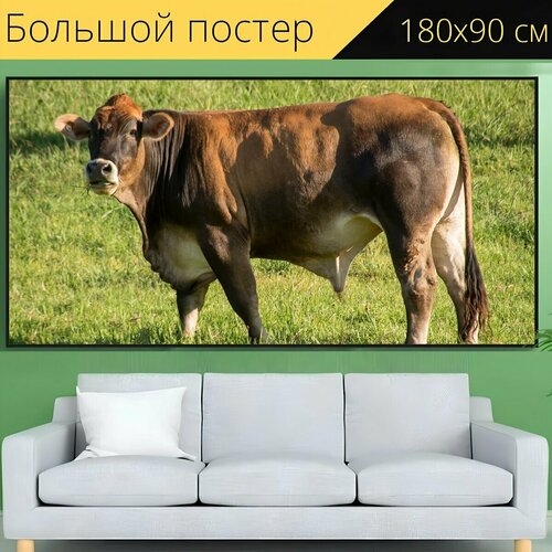 Большой постер "Бык, корова, крупный рогатый скот" 180 x 90 см. для интерьера