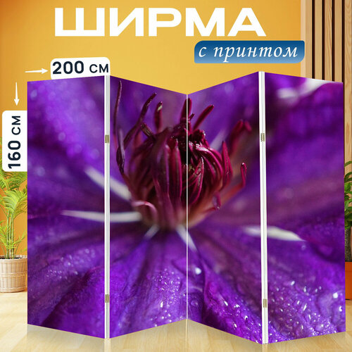Ширма перегородка с принтом "Клематис, цветок, фиолетовый" на холсте - 200x160 см. для зонирования, раскладная