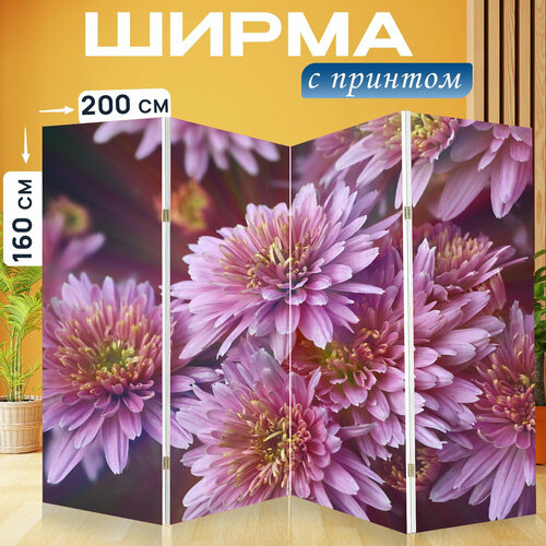 Ширма перегородка с принтом "Хризантемы, казаться, букет цветов" на холсте - 200x160 см. для зонирования, раскладная