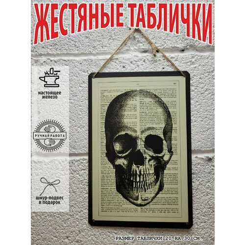 Череп постер на стену, 20 на 30 см. шнур-подвес в подарок