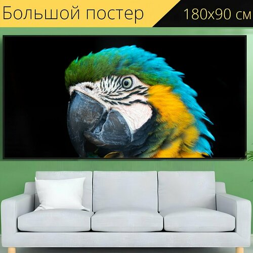 Большой постер "Попугай, птица, цветной" 180 x 90 см. для интерьера