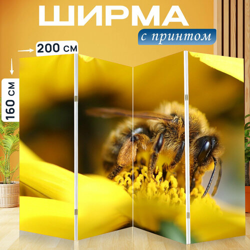 Ширма перегородка с принтом "Пчела, цветочная пыльца, опылять" на холсте - 200x160 см. для зонирования, раскладная