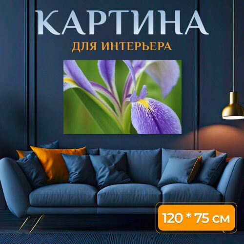 Картина на холсте "Цветок, лепестки, тычинка" на подрамнике 120х75 см. для интерьера