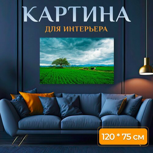 Картина на холсте "Пшеничное поле, сельское хозяйство, зеленая трава" на подрамнике 120х75 см. для интерьера