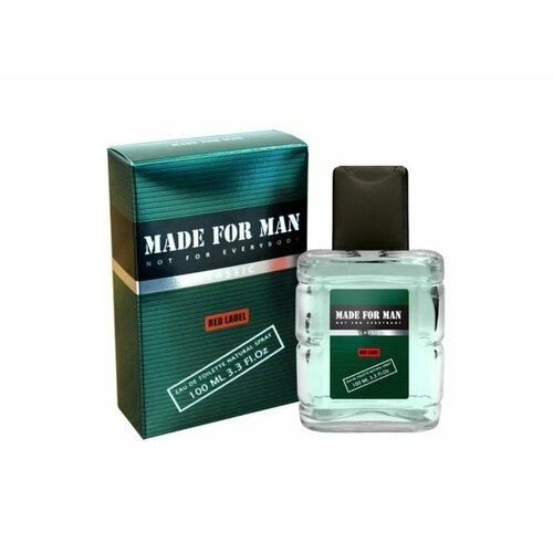 Today Parfum Парфюмерная вода мужская Made For Man Classic, 100 мл