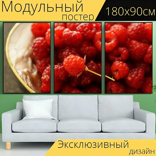 Модульный постер "Малина, еда, красный" 180 x 90 см. для интерьера