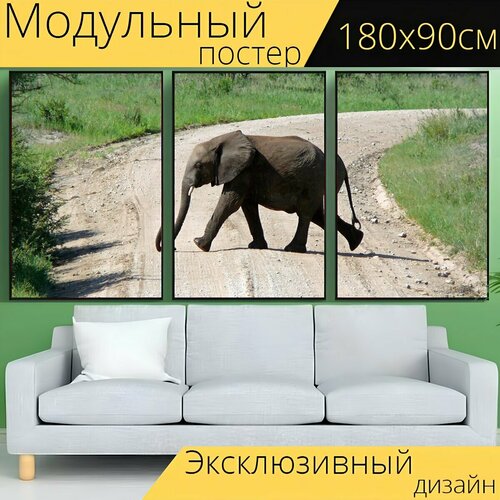 Модульный постер "Слон, способ, африке" 180 x 90 см. для интерьера