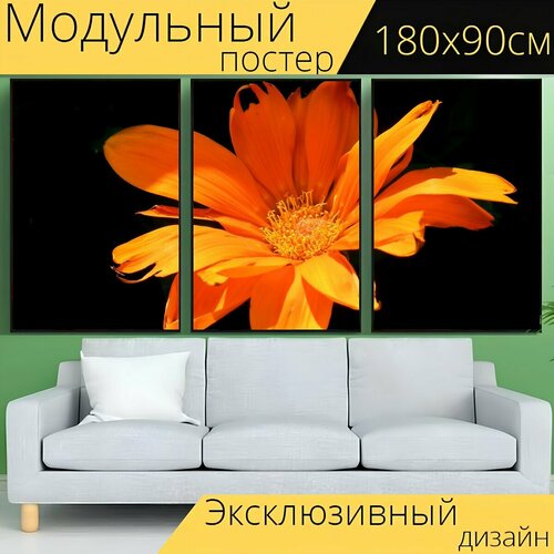 Модульный постер "Цветок, оранжевый, сад" 180 x 90 см. для интерьера