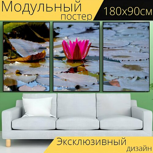 Модульный постер "Водяная лилия, цветок лотоса, лилии" 180 x 90 см. для интерьера