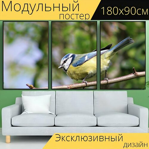 Модульный постер "Птица, сад, лазоревка" 180 x 90 см. для интерьера