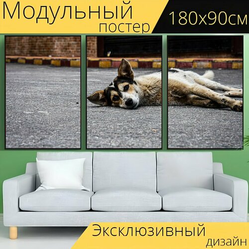Модульный постер "Собака, любовь, улица" 180 x 90 см. для интерьера