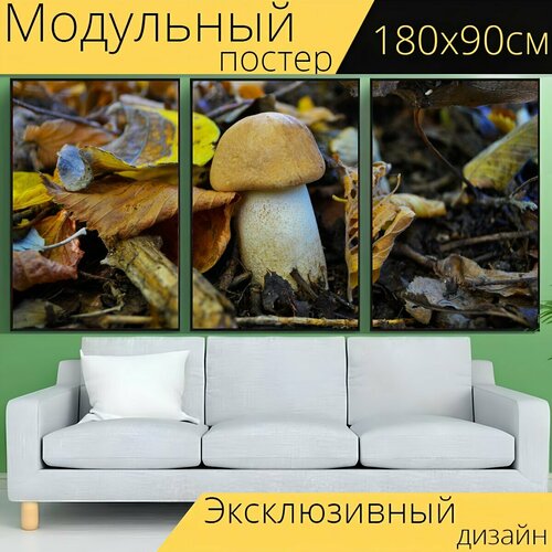 Модульный постер "Природа, гриб, грибы" 180 x 90 см. для интерьера