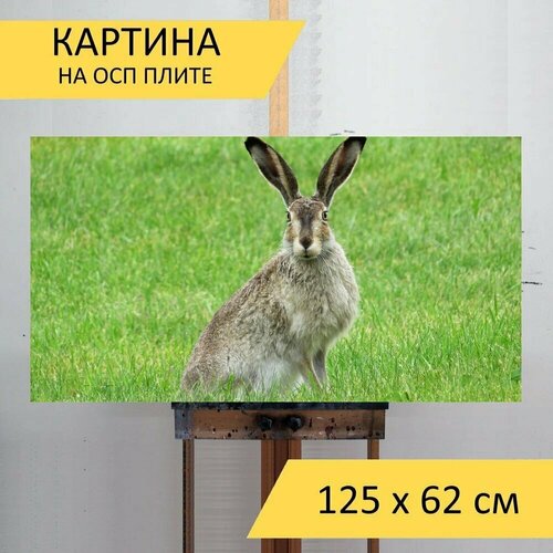 Картина на ОСП 125х62 см. "Кролик, заяц, животное" горизонтальная, для интерьера, с креплениями