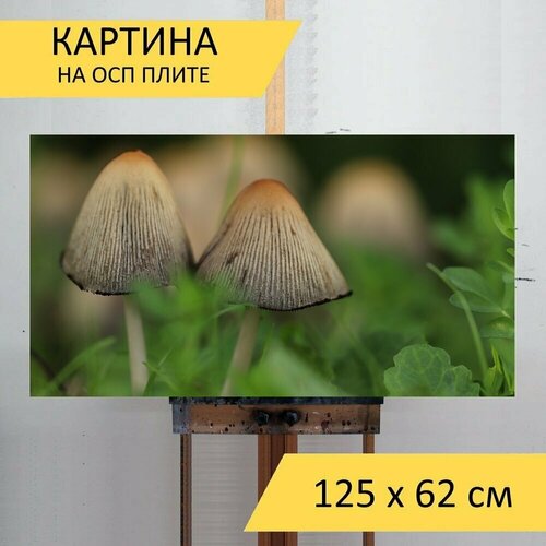 Картина на ОСП 125х62 см. "Гриб, грибы, лес" горизонтальная, для интерьера, с креплениями