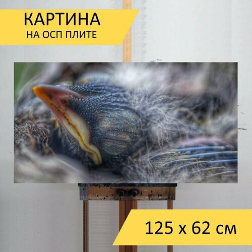 Картина на ОСП 125х62 см. "Птенец, птица, детка" горизонтальная, для интерьера, с креплениями