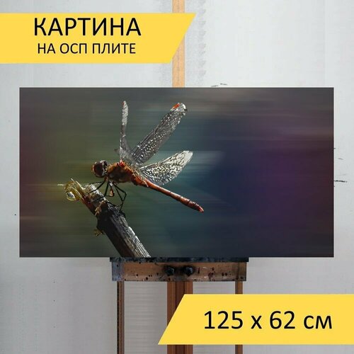 Картина на ОСП 125х62 см. "Стрекоза, насекомое, полет" горизонтальная, для интерьера, с креплениями