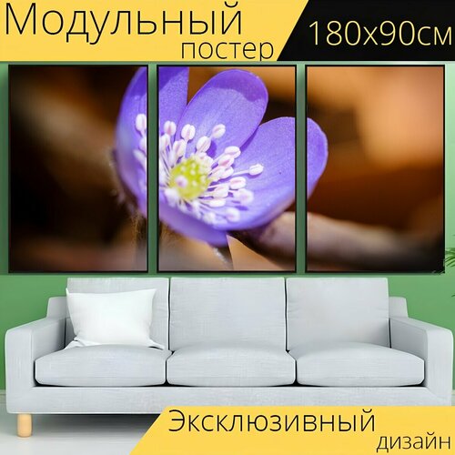Модульный постер "Печеночный лист, цветок, фиолетовый" 180 x 90 см. для интерьера