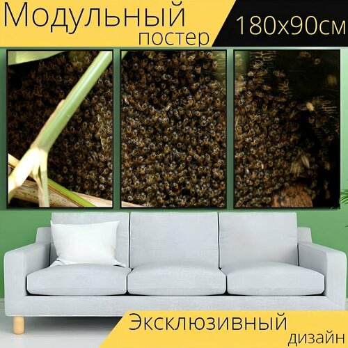 Модульный постер "Пчела, рой, ужалить" 180 x 90 см. для интерьера