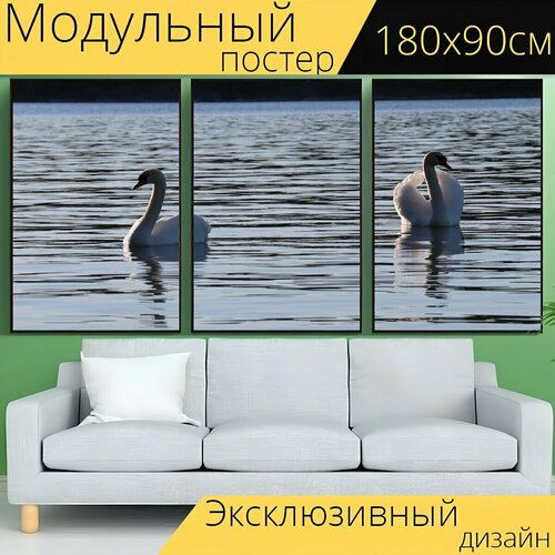 Модульный постер "Лебедь, птица, природа" 180 x 90 см. для интерьера