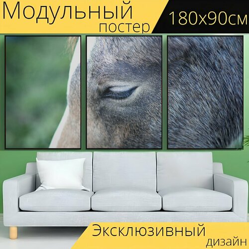 Модульный постер "Лошадиная голова, лошадь, жеребенок" 180 x 90 см. для интерьера