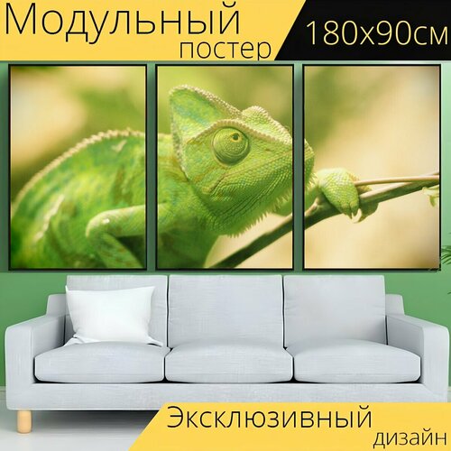 Модульный постер "Рептилия, хамелеон, ящерица" 180 x 90 см. для интерьера